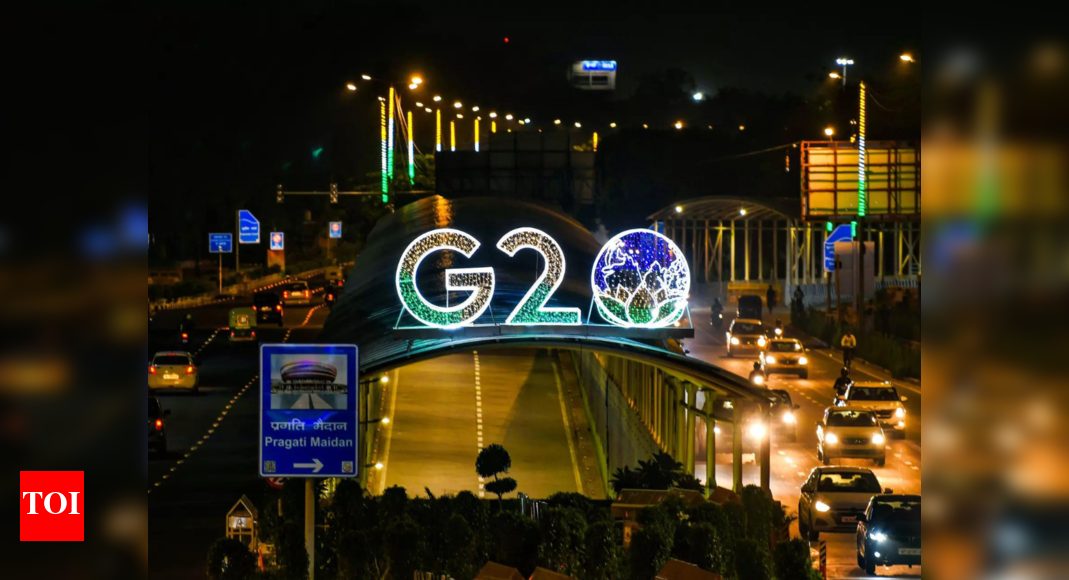The people who made the G20 Summit possible | India News - Times of India