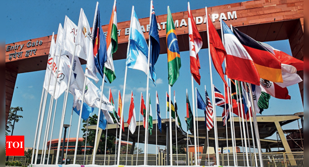 Logo, 43 flags of G20 nations & others add to summit decoration | Delhi ...
