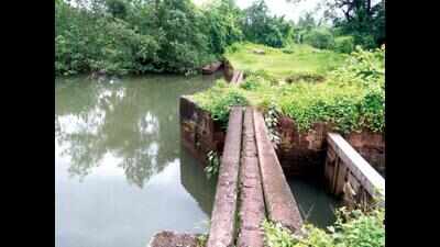 Khazan management and land-use plan must for agri revival | Goa News ...