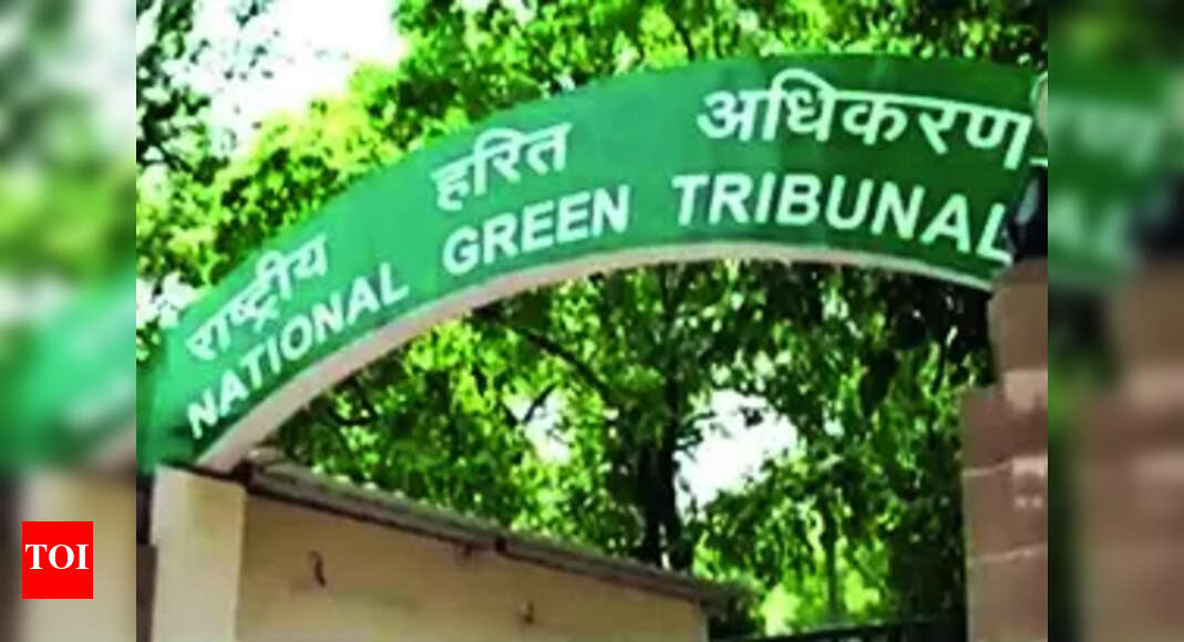 National Green Tribunal: Gouravelli Project Work Still Ongoing ...