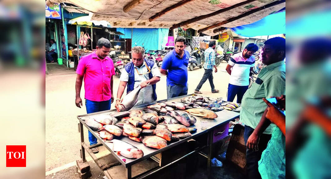 Fish: 10kg Of Rotten Fish, Chicken Seized | Salem News - Times of India