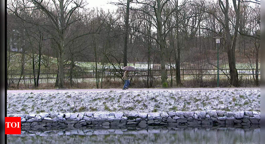 Kerala: Test full-fledged article | Invasive mussel species from ...