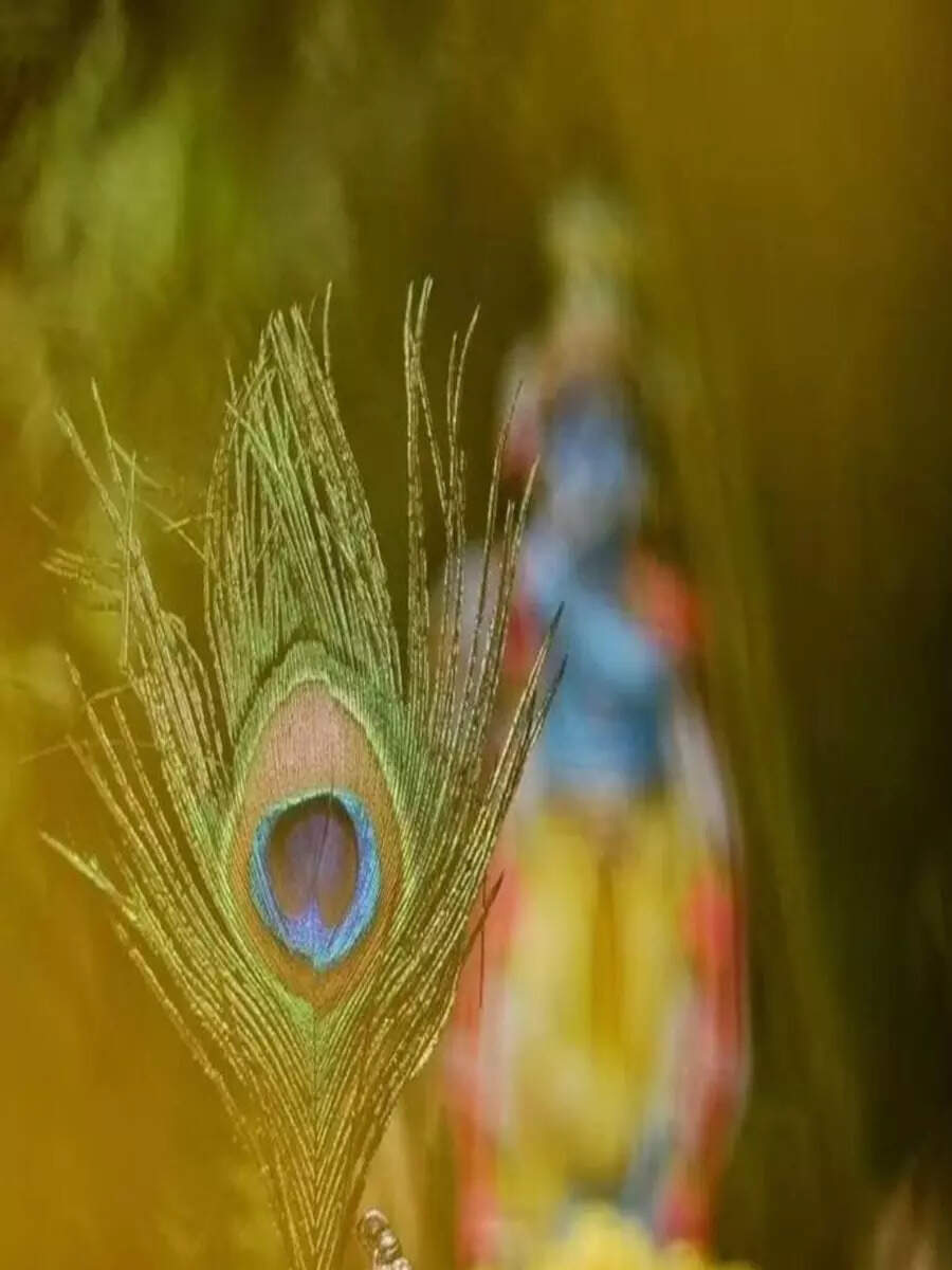 How To Please Lord Krishna According To Your Zodiac Sign | Times of India