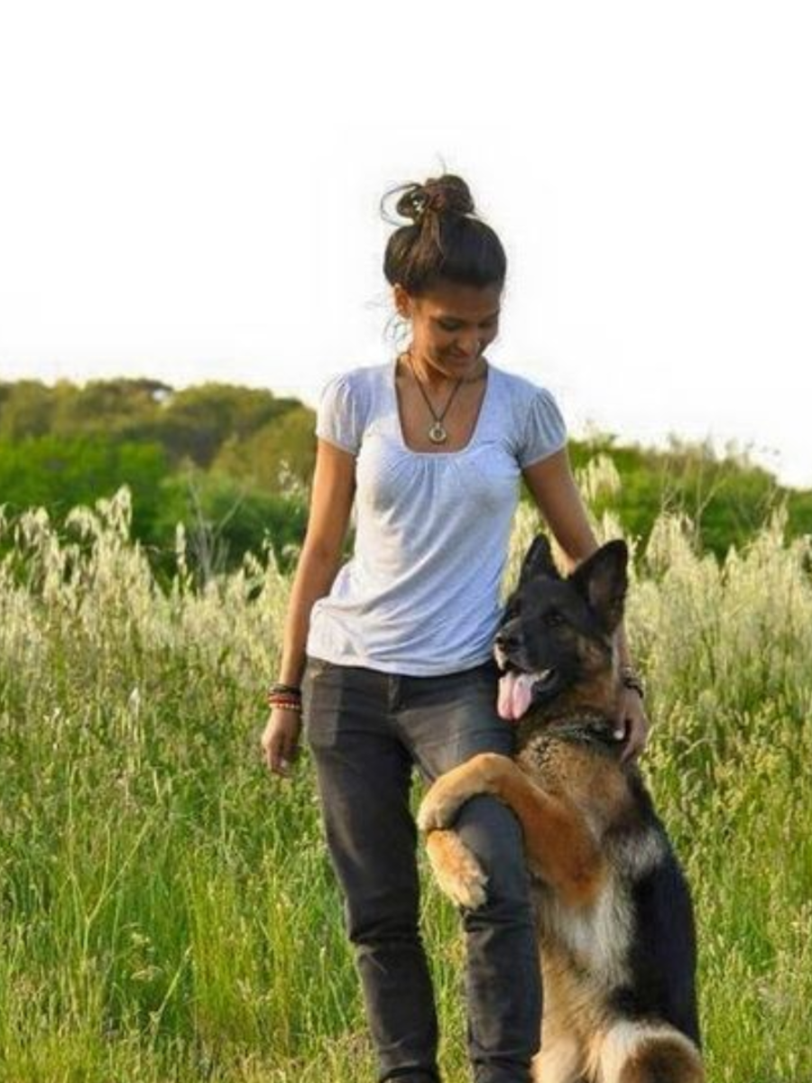 9 Ways To Train Your Pet Properly | Zoom TV