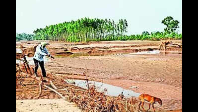 Silt: Post-flood Silt On Fields A Blessing In Diguise: Farmers ...