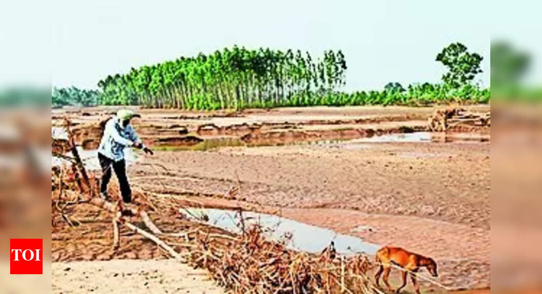 Silt: Post-flood Silt On Fields A Blessing In Diguise: Farmers ...