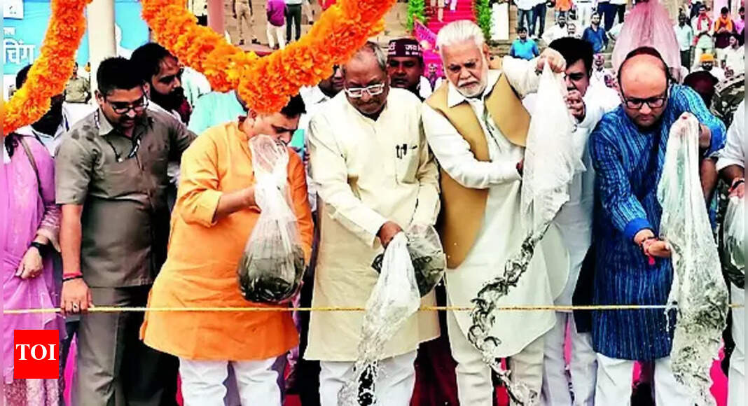 River Ranching: River Ranching Of 1l Chitala Fish Seeds Done | Varanasi ...