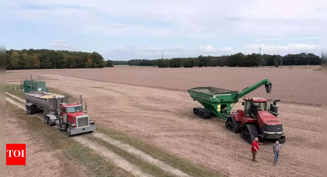 Crop Quality: Heat, drought spur early corn harvest in US corn belt ...