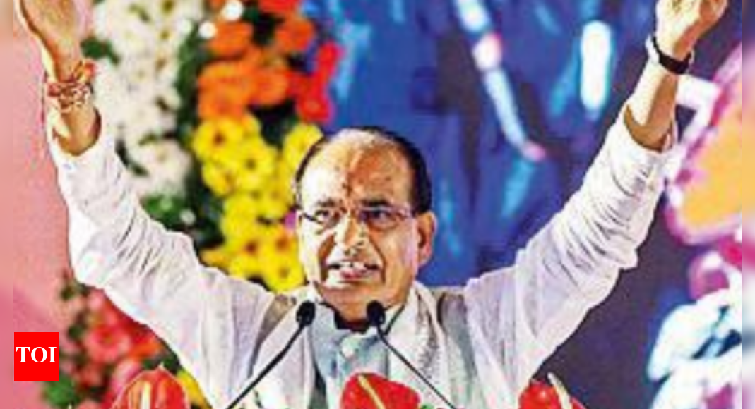 Madhya Pradesh's Sanchi becomes India's first solar city | Bhopal News ...