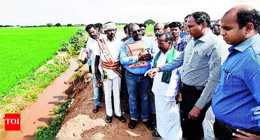 Kuruvai Paddy: Officials Take Stock Of Kuruvai Paddy Crop In Delta ...