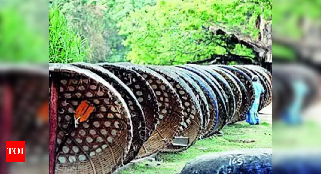 Water: District Admin Lifts Ban On Coracle Rides In Hogenakkal | Salem ...