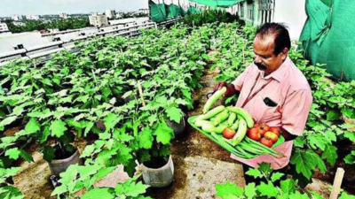 Organic Farming: Hosps Take Up Farming, Yield Used In Kitchen | Kochi ...