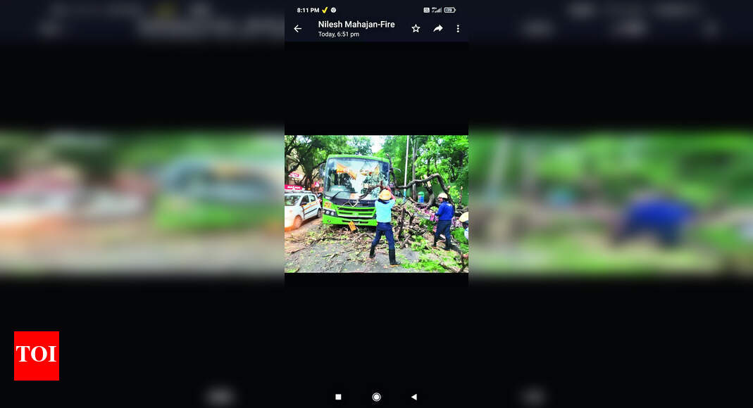 Tree Falls: Pmpml Driver Hurt After Tree Falls On Bus; Passengers Escape Unhurt | Pune News ...