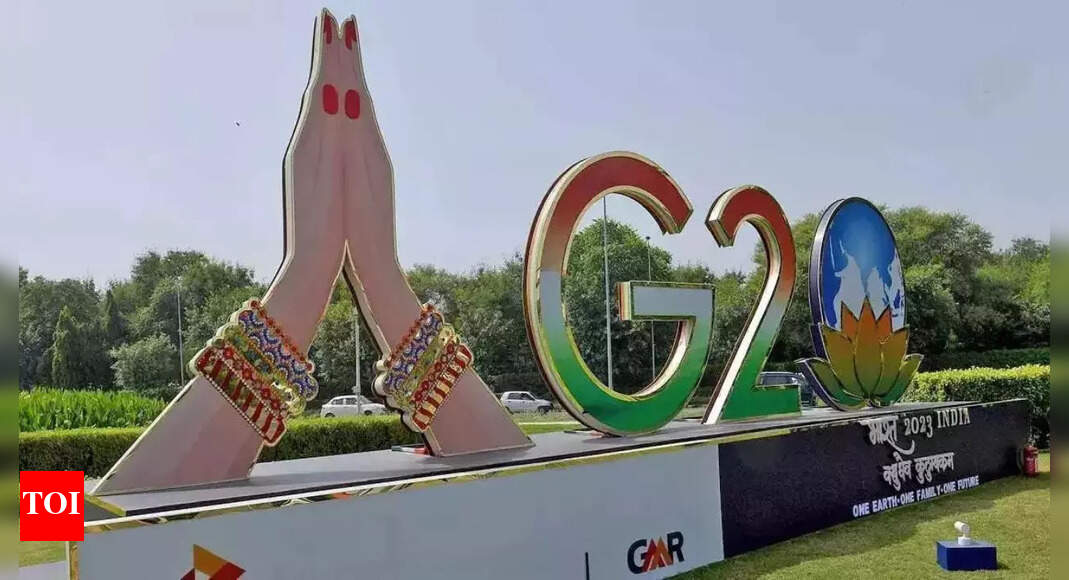 Debate return of Indian children removed from parents by foreign child ...