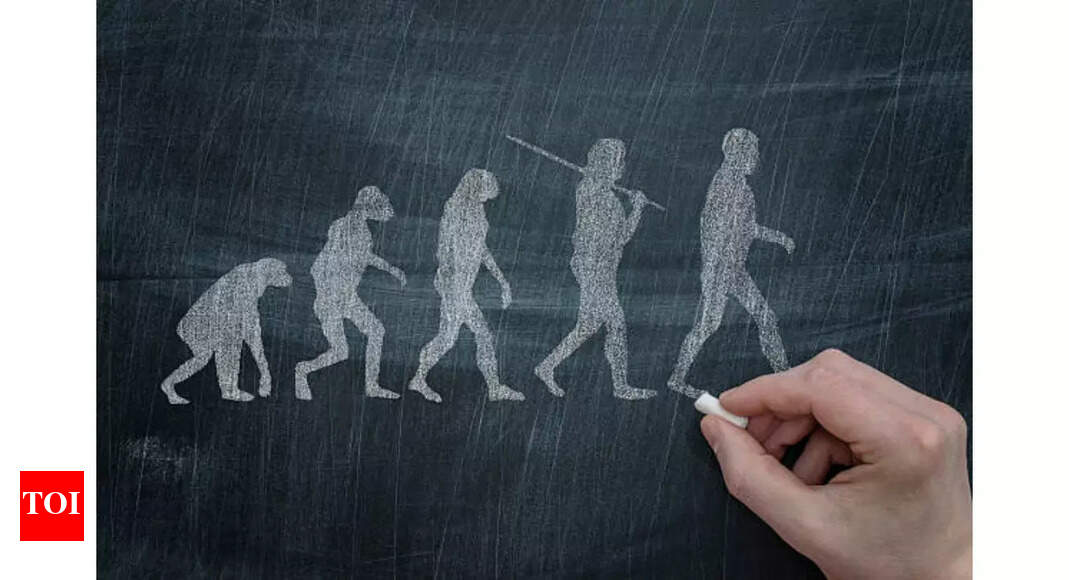 Human population nearly wiped out 900,000 years ago: Study | - Times of ...