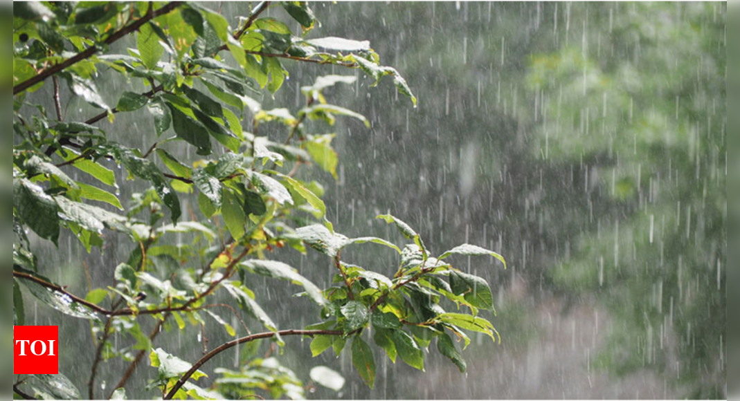 Rainfall: City gets light & intermittent rainfall; Nashik logs wettest ...