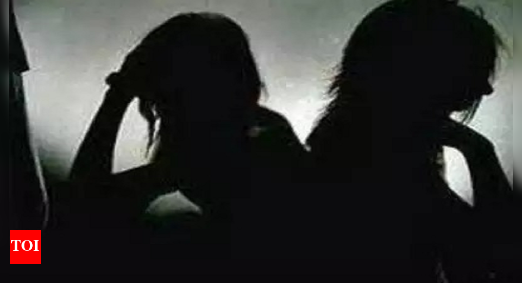 In Goa Sex Racket Goes Digital Clients Scan Qr Code To Make Payment