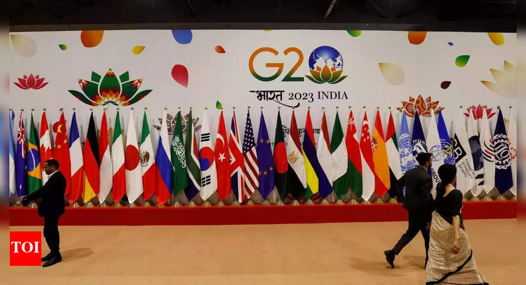 G20 nations finalise text on Ukraine war, set stage for communique on ...