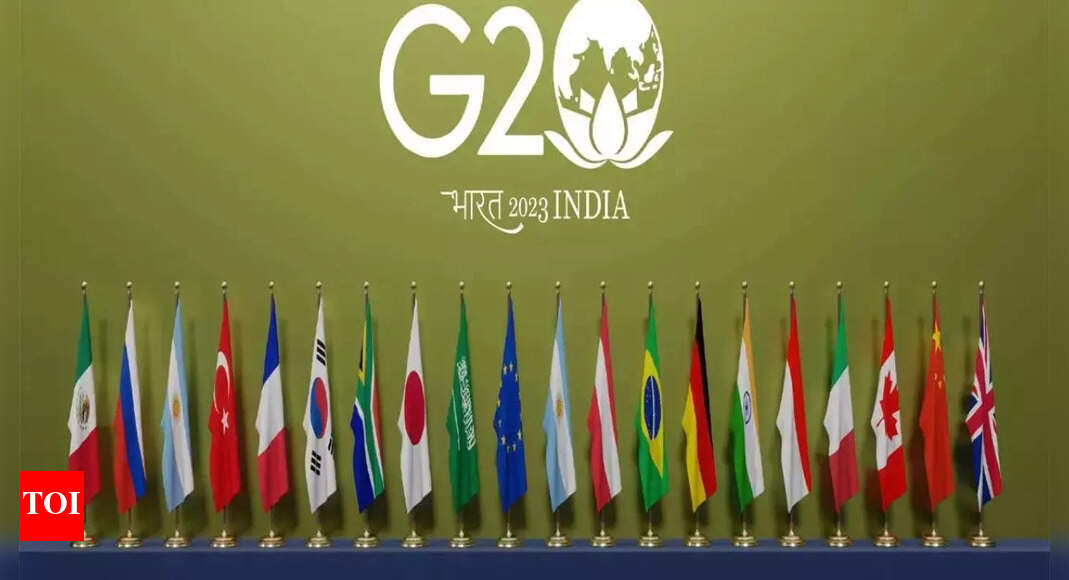 G20 clears trebling of RE capacity in give-an-take | India News - Times ...