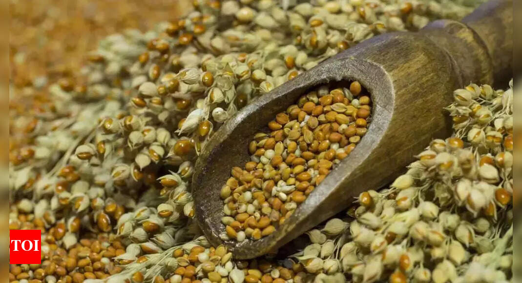 Millet: World leaders served humble millet at G20 gala dinner | India ...