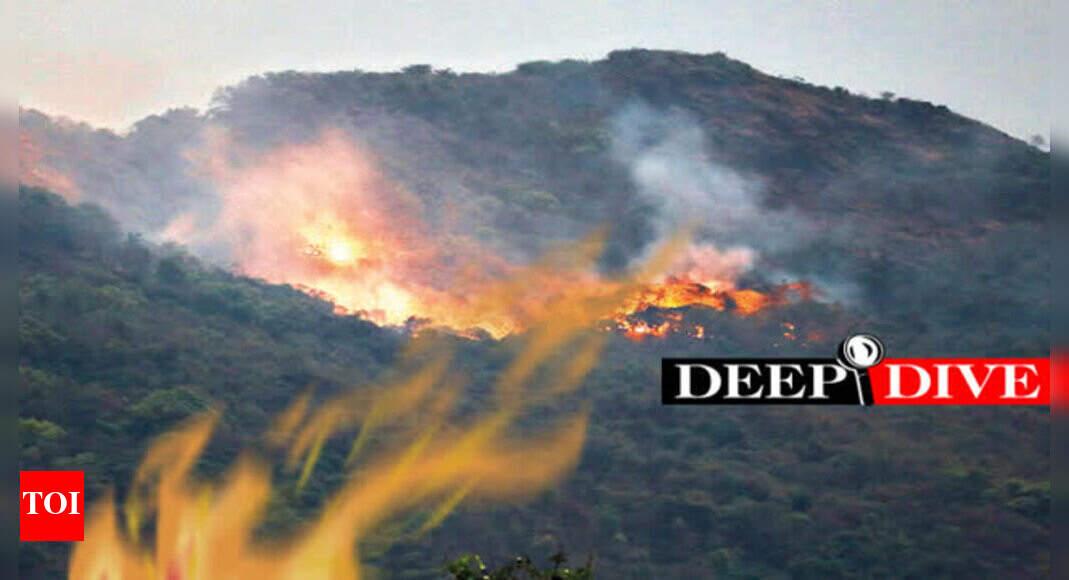Is the fire in Goa’s forest a manmade disaster?