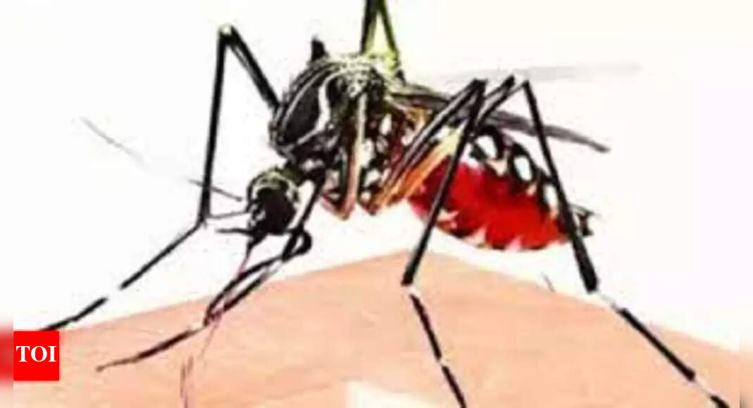 Malaria Cases In Kolkata: Malaria strikes amid dengue surge, some ...