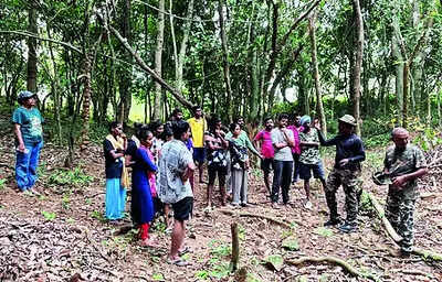 Kanthavara: Environmentalist Takes Up Forest Conservation Project In ...