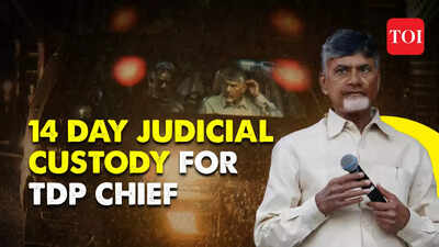 Chandrababu Naidu News: Another Supreme Court bench to hear TDP chief plea in Skill Development ...