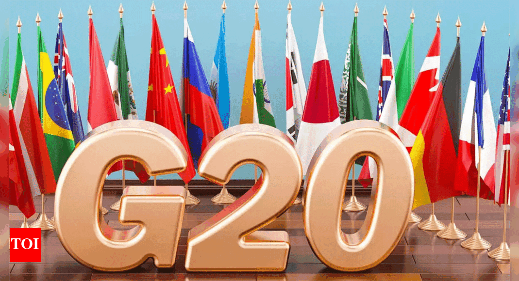 G20 Meeting News: G20's 'One Earth' session to focus on strengthening ...