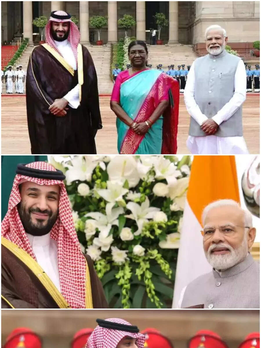 Saudi Crown Prince meets PM Modi | Times of India