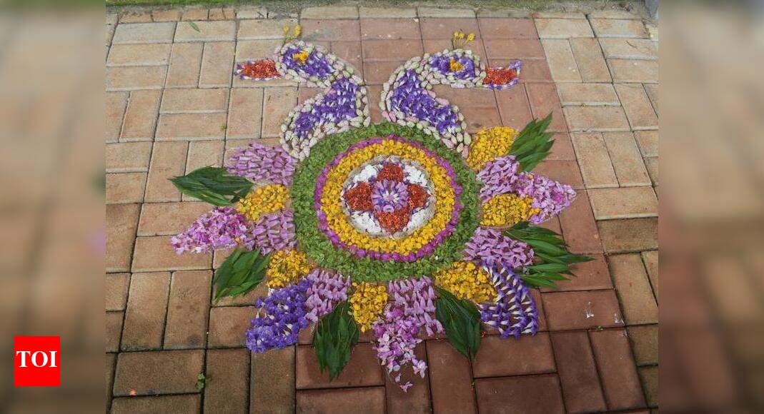 Shigao celebrates bloom of rare Karvi | Goa News - Times of India