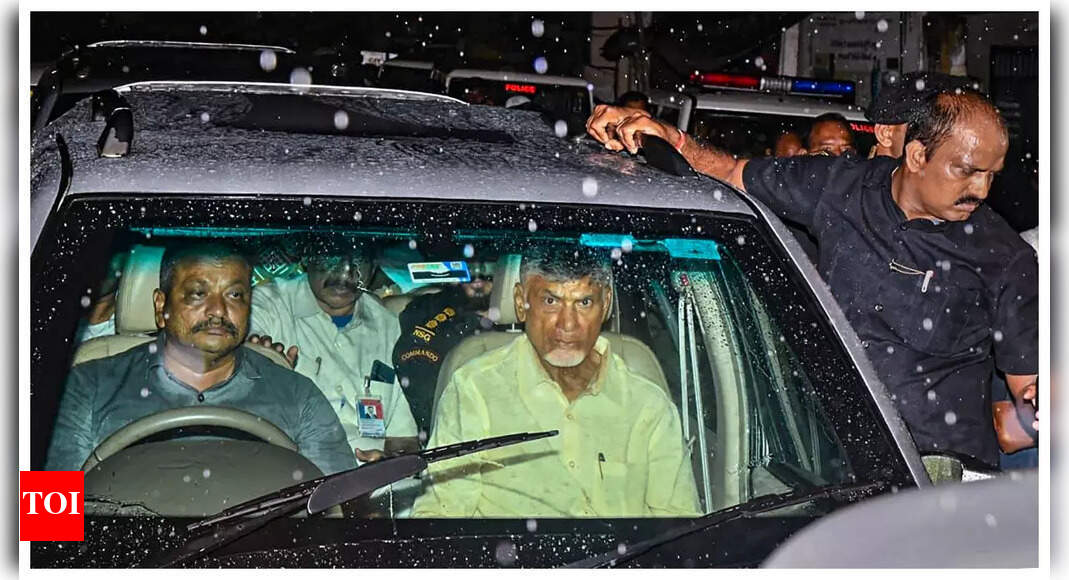 TDP chief Chandrababu Naidu claims jail 'threat', moves court for house remand | Vijayawada News ...