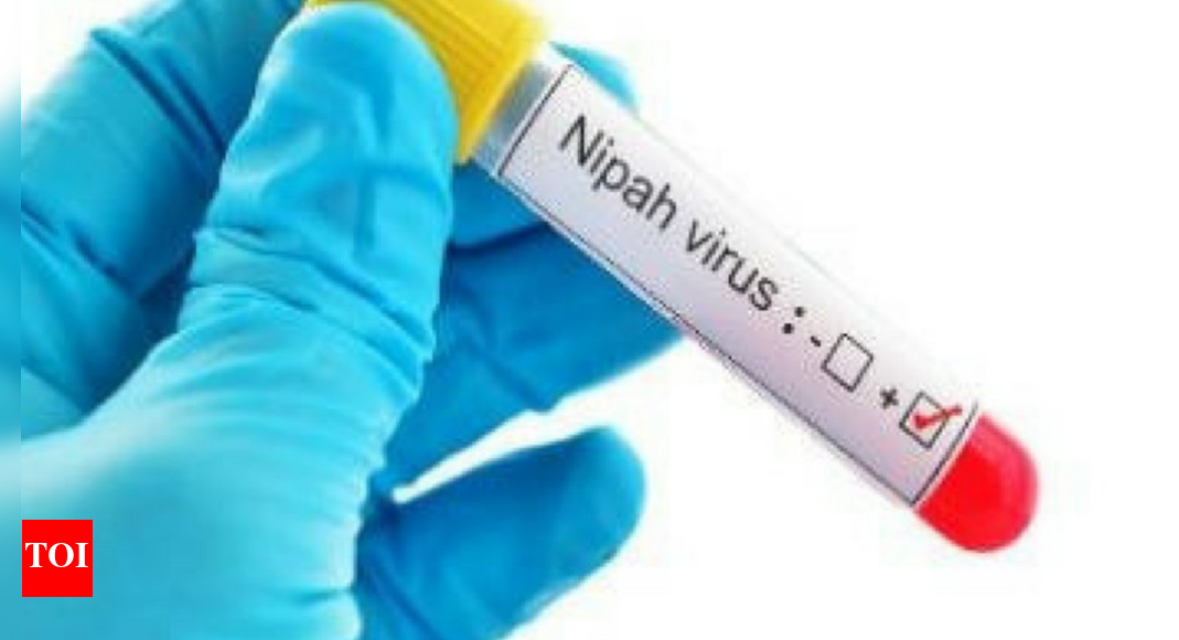 Nipah Virus in Kerala: Alert sounded in Kozhikode after 2 Nipah virus cases suspected ...