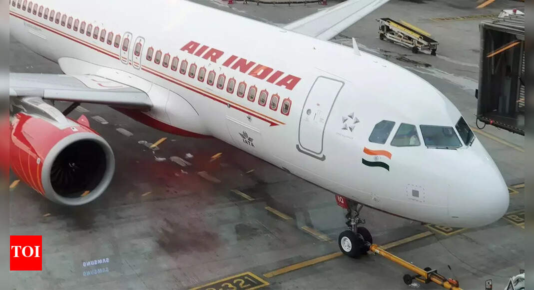 Airports: Air India rolls out flyer facilitation programme at 16 ...