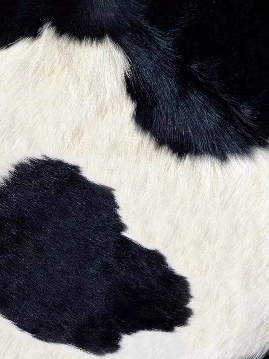 Optical Illusion: Find The Cute Animal Hiding In Plain Sight Within 7 ...