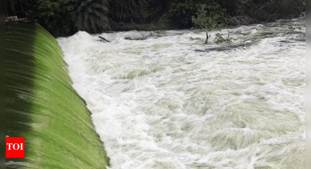 Cauvery Water Row: Karnataka deputy CM DK Shivakumar says, not enough water for us, dams drying ...