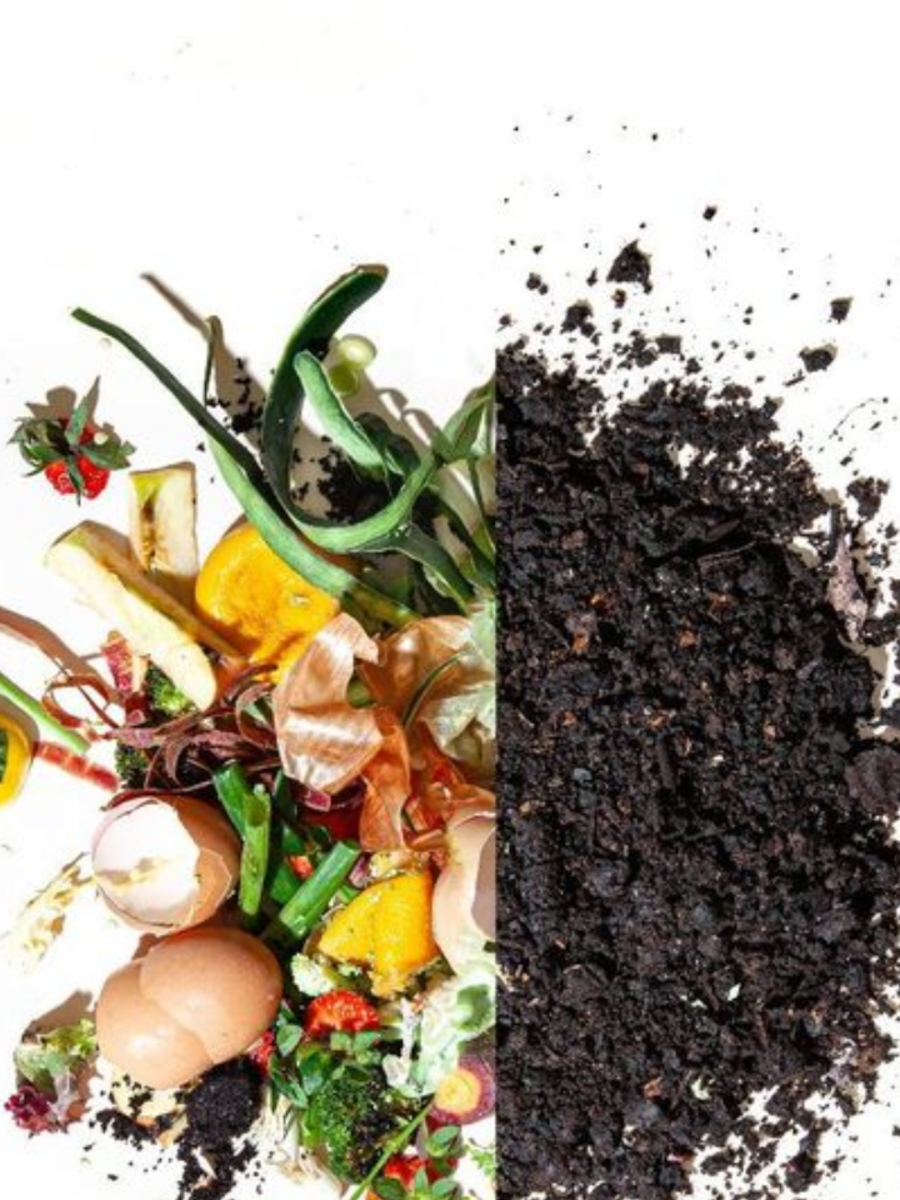 Nourish Your Garden With These Methods Of Composting | Zoom TV