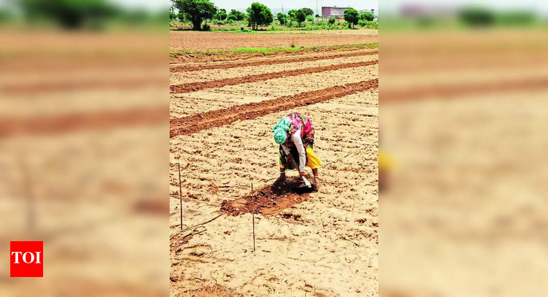 Rainfall Deficit: August Saw Lowest Rainfall In 48 Yrs Along Coastal ...