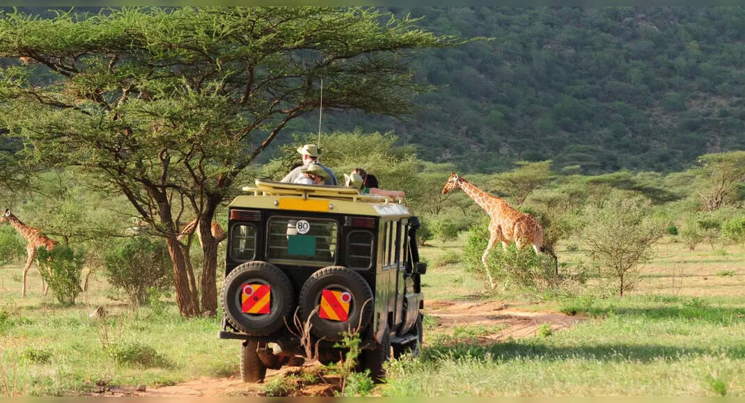 Kenya: Perfect first-timers' itinerary for a holiday in Kenya | TimesTravel