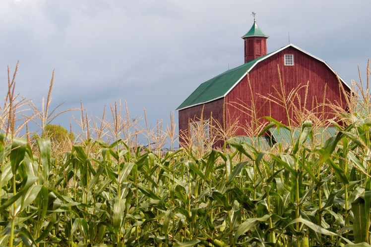 Ontario’s pretty towns to fall in love with! | Times of India Travel