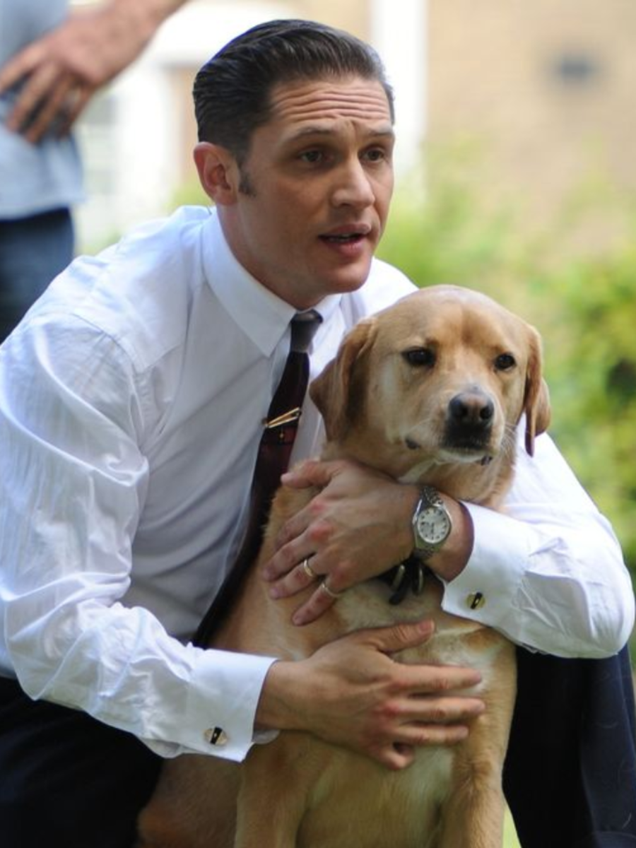 Tom Hardy's Adorable Pics With Dogs Are Too Cute To Miss | Times Now