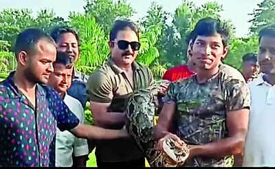 Wildlife: Probe After Actor-mla’s Pic With Python | Kolkata News - Times of India