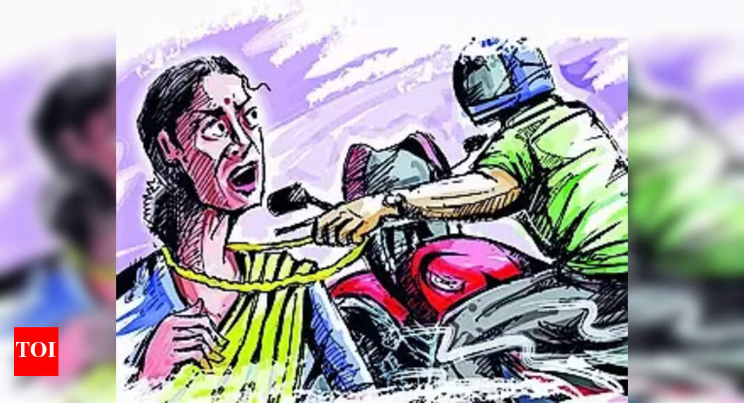 Snatching Cases: 93 Out Of 112 Snatching Cases Cracked In 8 Months ...