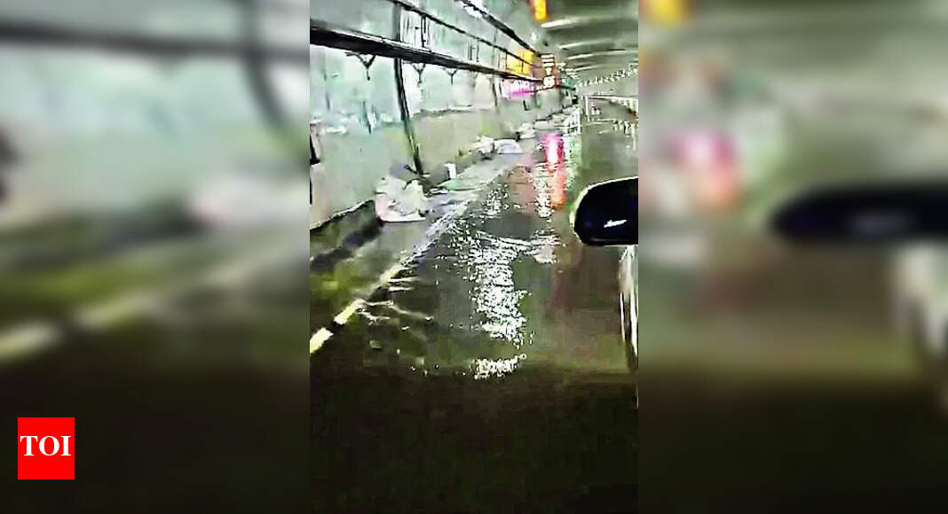 Seepage From Seri Nullah Floods Atal Tunnel Again | Shimla News - Times ...