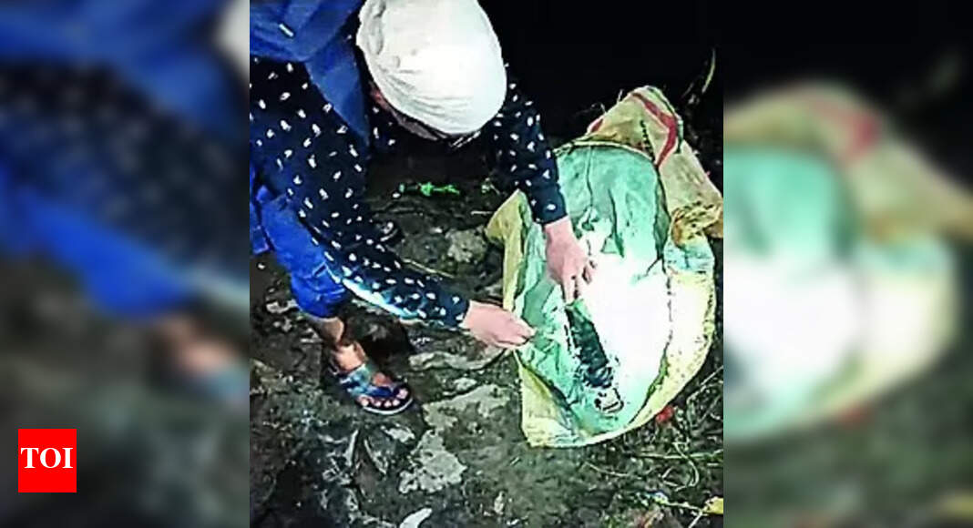 Paleontology: Woman’s Body Found In Sack With Hands, Legs Tied ...
