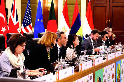 Finance Roadmap: G20 Sfwg Meet Finalises Sustainable Finance Report | Varanasi News - Times of India