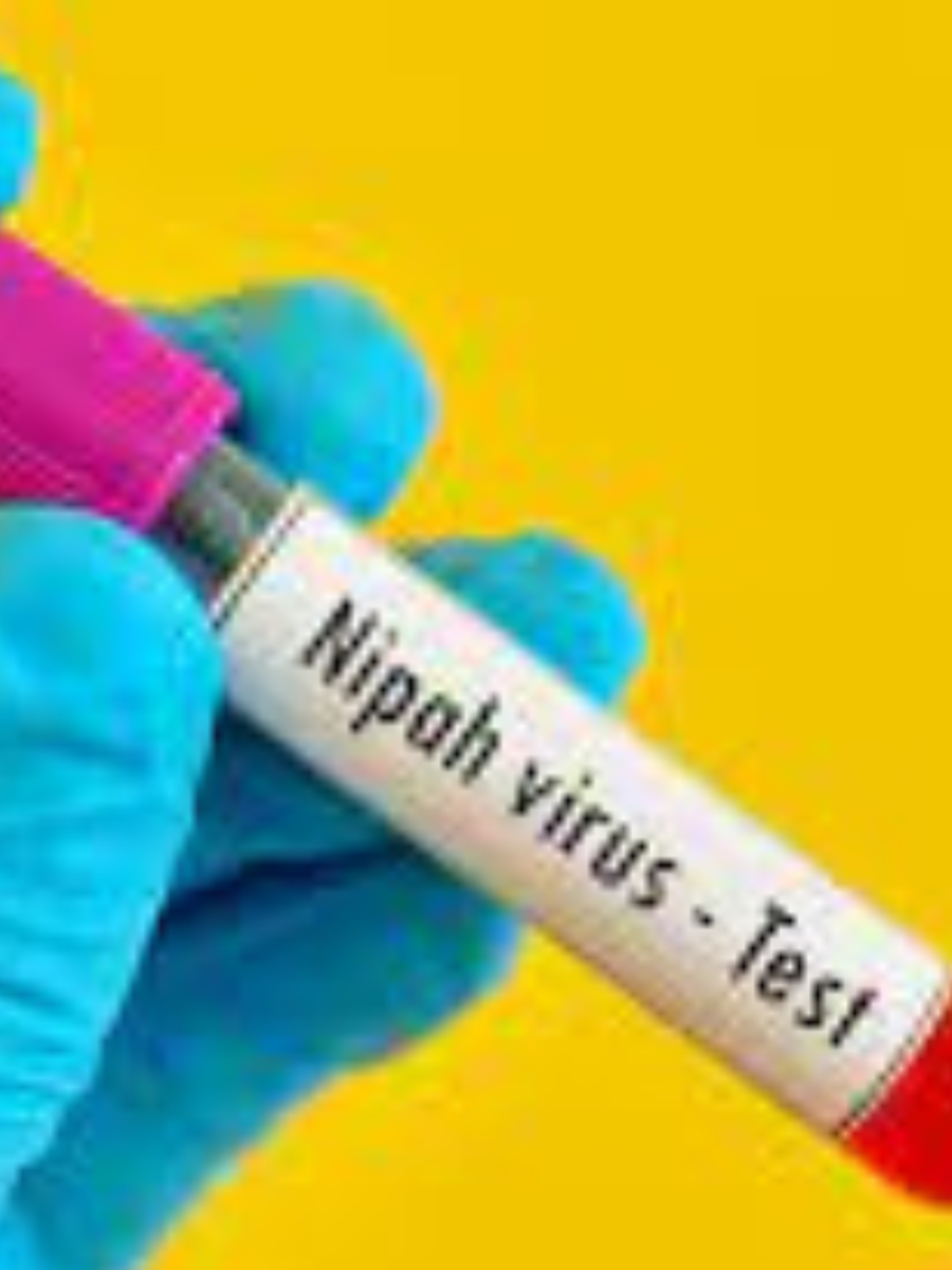 Nipah Virus Brings Back COVID-Like Scare | Times Now