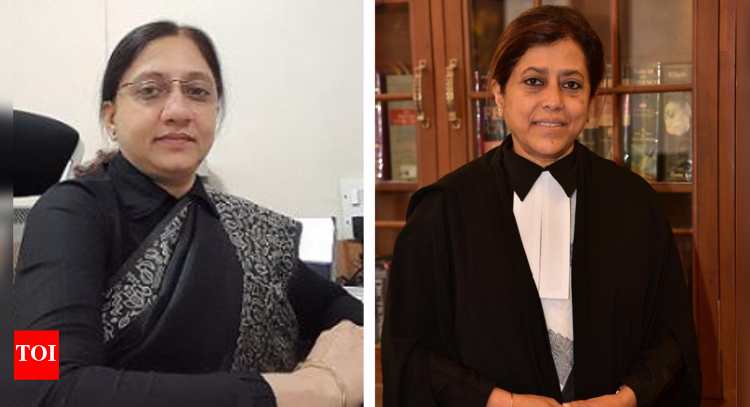 Bombay High Court: Views of both parents to be considered on child's ...