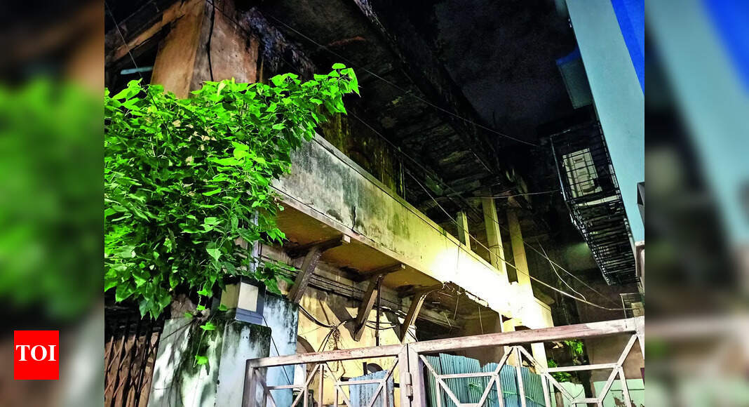 Physical Activity: Woman Rescued After Bhowanipore Balcony Collapse ...
