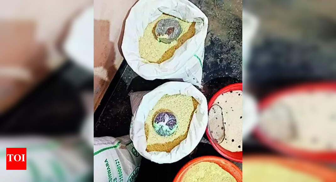 Stones And Tamarind Seeds Mixed With Anna Bhagya Rice | Mangaluru News ...